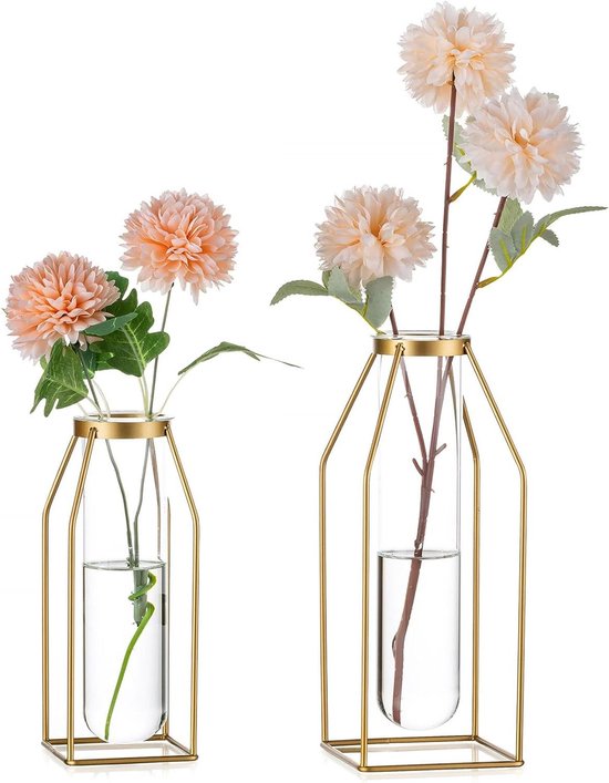 Metalen Draad Bloemenvaas - Gouden Frame Vaas - Glazen Proefbuisjes ...