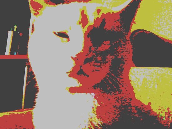 Zlatni grad (ebook), Alenotna Kar | 9798230776260 | Boeken | bol