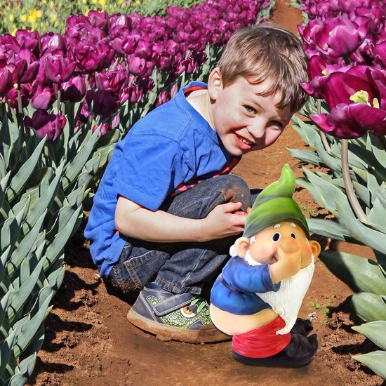 Tuinkabouter Standbeeld - Ondeugende Kabouter - Uniek in iedere tuin | bol