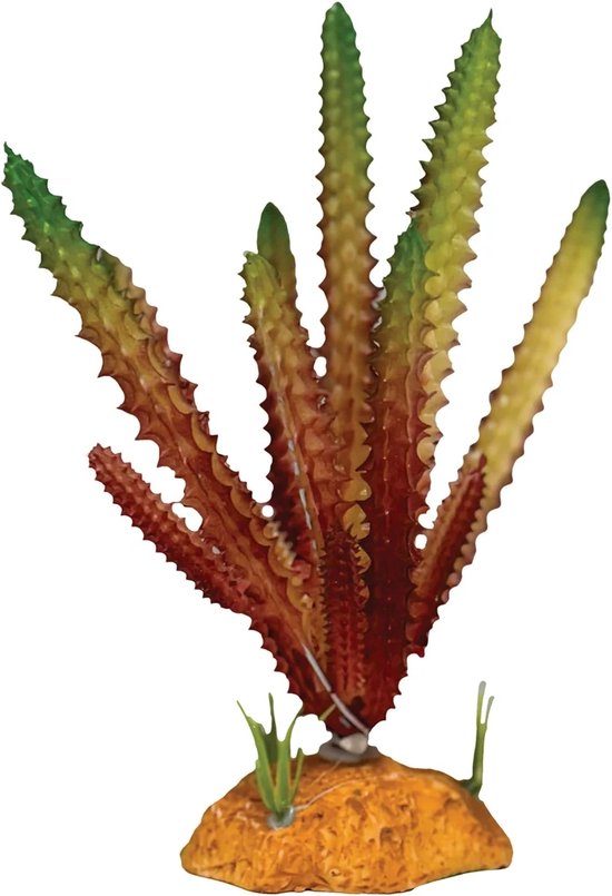 Repto Cactus kunstplant Needle Red terrariumdecoratie voor reptielen en ...