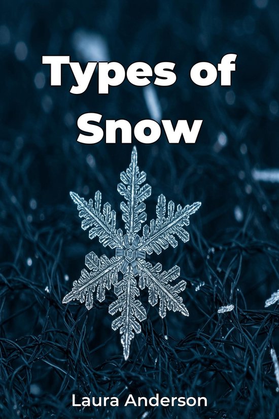 Types of Snow (ebook), Laura Anderson | 9788235208897 | Boeken | bol