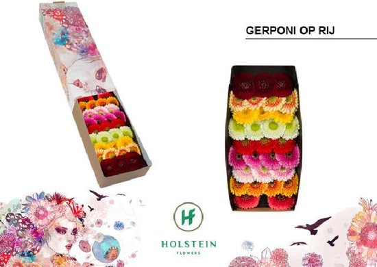 30x Germini pomponi mix var.op rij 40cm | bol