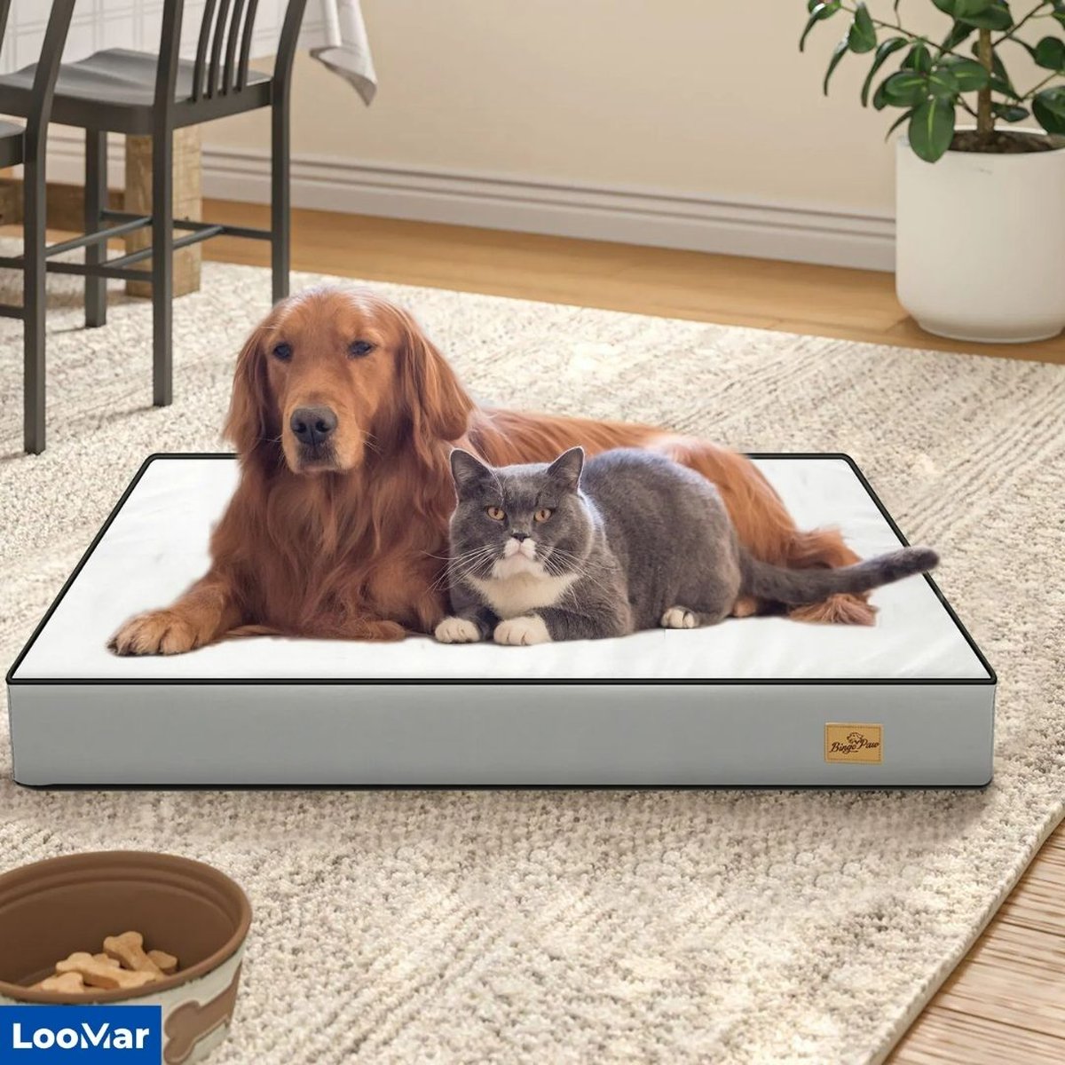 LooMar Hondenbed Large - Hondenbank - Hondenzetel - Hondensofa ...