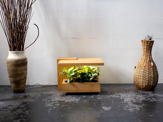 Pluk One Plant-Table | Natural Oak - Indoor gardening tafel. Een unieke ...