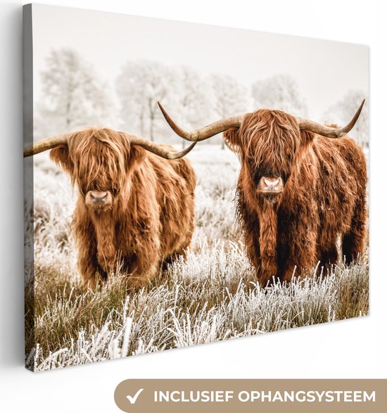 Canvas schilderij - Schotse hooglander - Koe - Dieren - Winter - Natuur ...