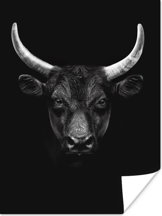 Poster Dieren - Stier - Zwart - Wit - Portret - 30x40 cm | bol