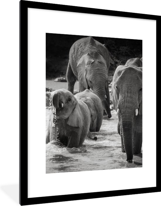 Fotolijst incl. Poster Zwart Wit- Olifant - Dieren - Water - Zwart wit ...