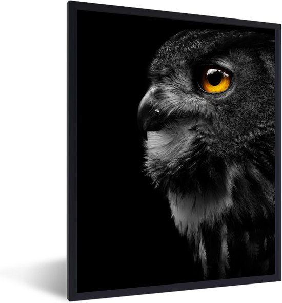 PosterMonkey - Poster - Fotolijst - Uil - Vogel - Zwart - 60x80 cm ...