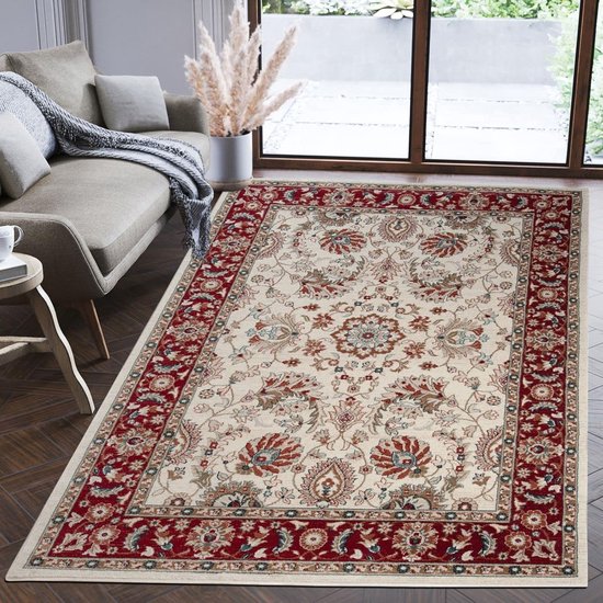 Oosters Vloerkleed 200x300cm - Traditioneel Tapijt met Kortstondig ...