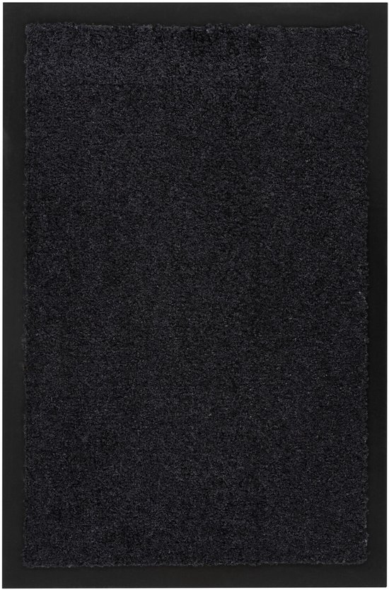 Droogloopmat Amsterdam - Deurmat Binnen – 100% Polyamide, Sterk ...