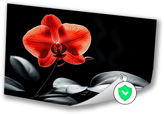 Rode orchidee op zwarte achtergrond - Orchidee poster - Poster bloem ...