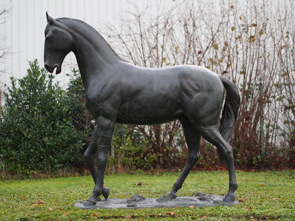 Groot paard | bol.com