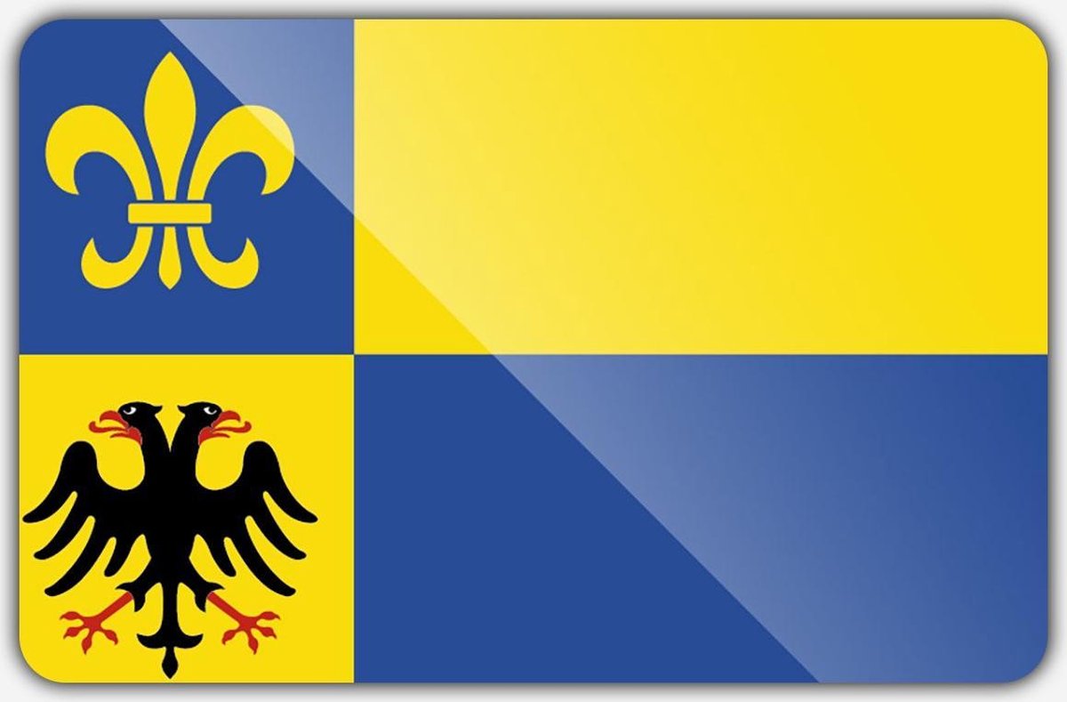 Vlag gemeente Meerssen - 200 x 300 cm - Polyester | bol.com