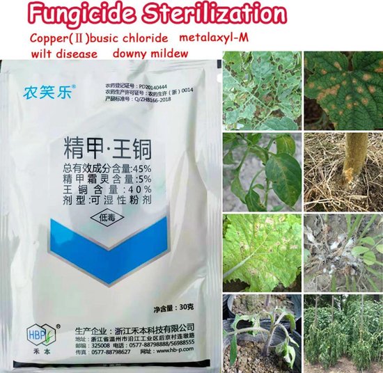 Plantes enracinement croissance pesticide metalaxyl m et cuivre ...