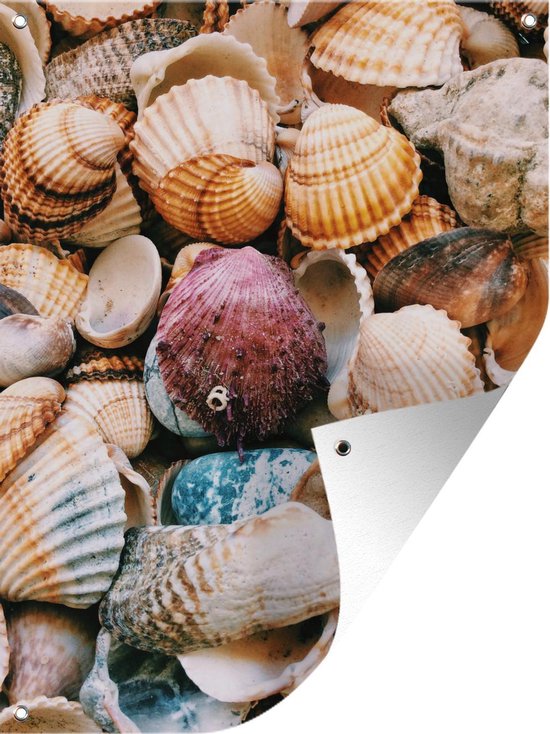 Tuin decoratie Schelpen - Strand - Griekenland - 30x40 cm - Tuindoek ...
