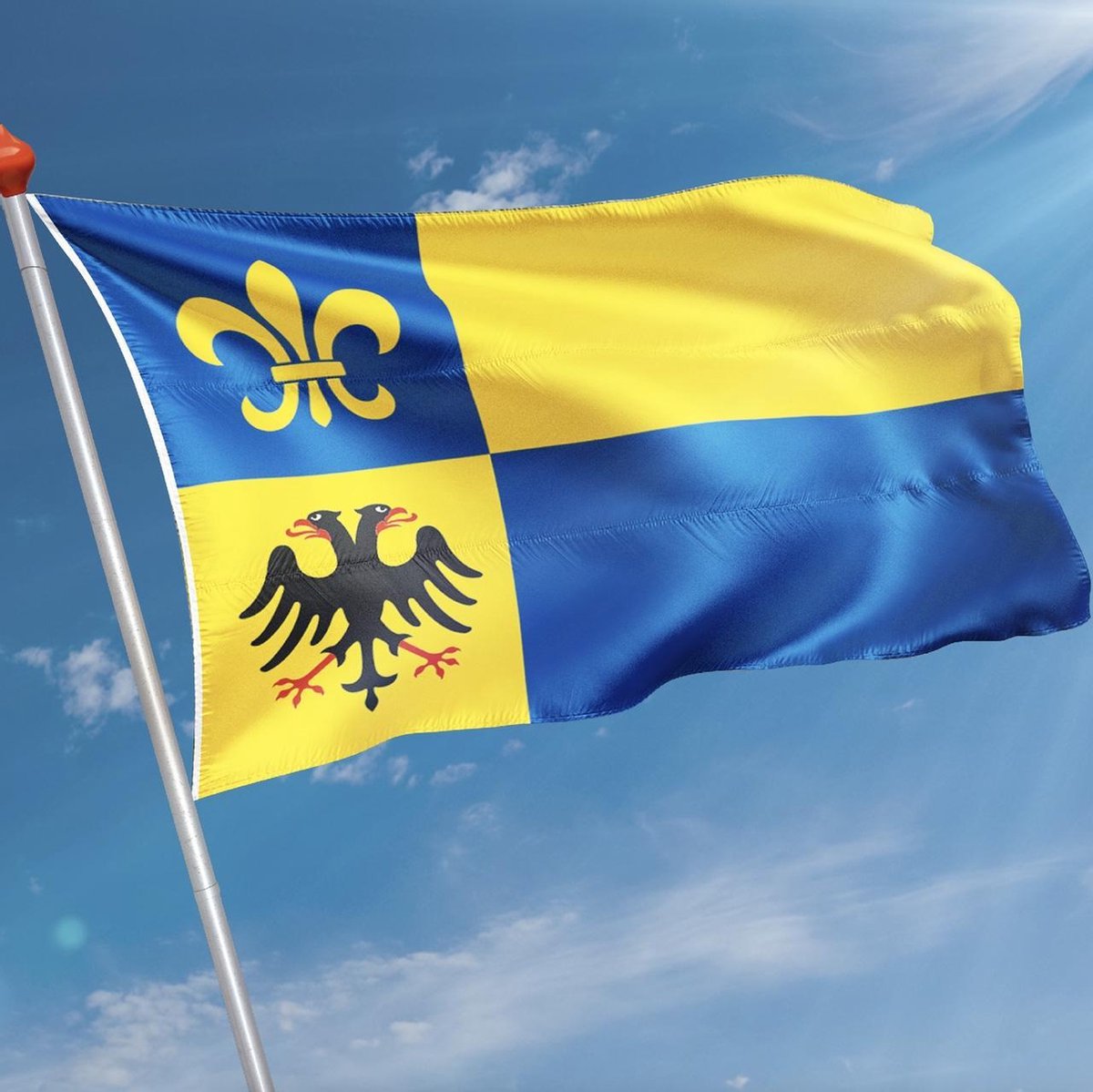 Vlag gemeente Meerssen - 150 x 225 cm - Polyester | bol