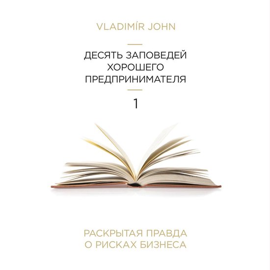 Ten Commandments of a Good Entrepreneur, Vladimir John | 9781911511045 ...
