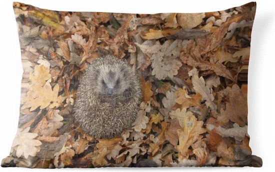 Buitenkussens - Tuin - Egel opgerold in bladeren - 60x40 cm | bol