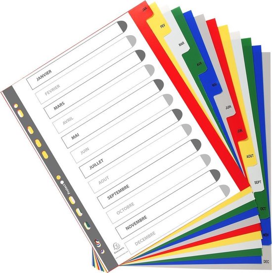 20x Tabbladen met bedrukte tabs in gekleurde PP - 12 tabs - januari ...