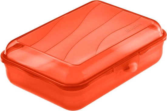 Rotho lunchbox FUN 1,25 l (20 x 14 x 6 cm) aquablauw 1250 ml | bol.com