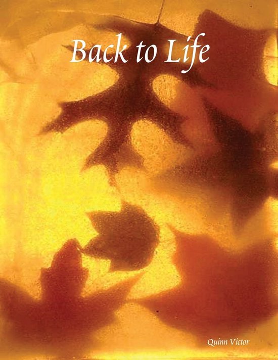 Back to Life (ebook), Quinn Victor | 9781999289805 | Boeken | bol