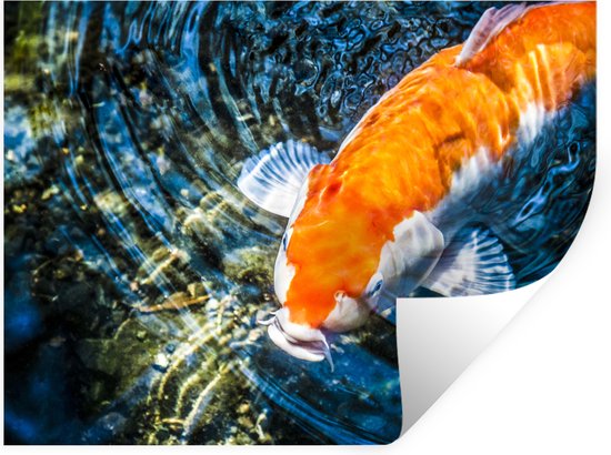 Muurstickers - Sticker Folie - Een koi karper die naar het wateroppervlak komt -... | bol