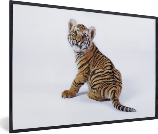 Fotolijst incl. Poster - Welp - Tijger - Dier - 120x80 cm - Posterlijst ...