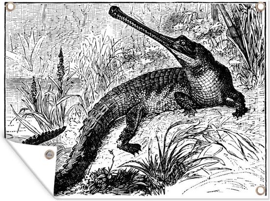 Tuinposter - Tuindoek - Tuinposters buiten - Een zwart-wit tekening van ...