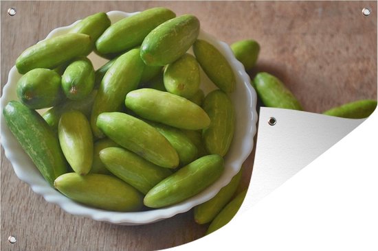 Bol Wit rempli de tindola vert Affiche de jardin 180x120 cm - Toile de ...