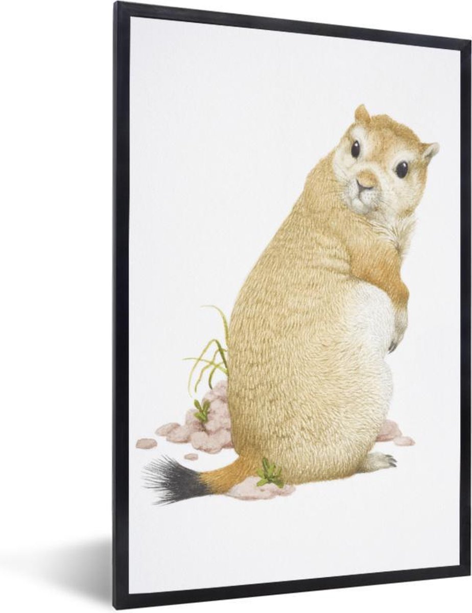Fotolijst incl. Poster - tekening van een prairiehond - 80x120 cm ...