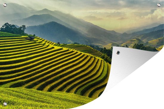 Tuinposter - Tuindoek - Tuinposters buiten - Terrassen van rijstvelden ...