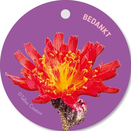 Tallies Cards - kadokaartjes - bloemenkaartjes - Bedankt - Flowerpower ...