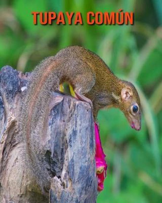 Tupaya comun, Pam Louise | 9798509219580 | Boeken | bol.com