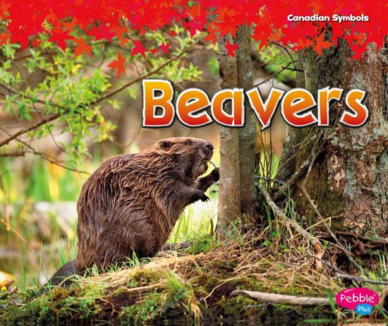 Canadian Symbols - Beavers (ebook), Sabrina Crewe | 9781496627063 | Boeken | bol