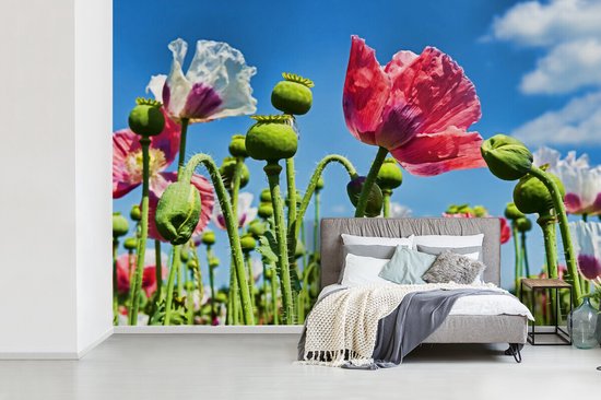 Behang - Fotobehang Strakblauwe lucht boven de verschillende slaapbollen - Breedte 420... | bol