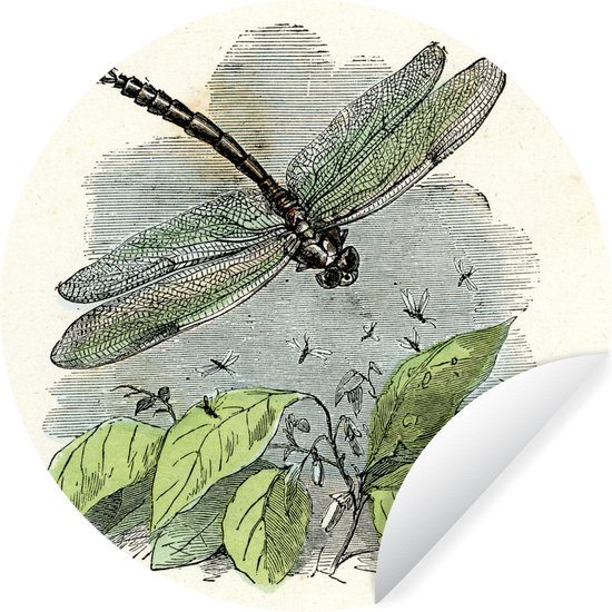 WallCircle - Muurstickers - Behangcirkel - Een illustratie van een ...