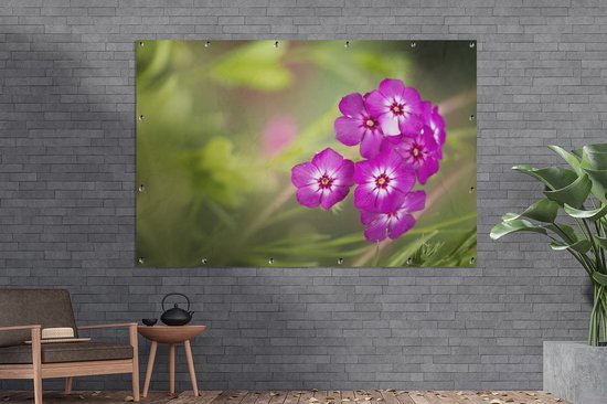 Muurdecoratie Fel paarse vlambloemen bij een lichtgroene achtergrond ...