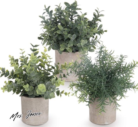 Mrs. Jones Collection Mini Kunstplanten Set van 3 - Kunstmatig ...