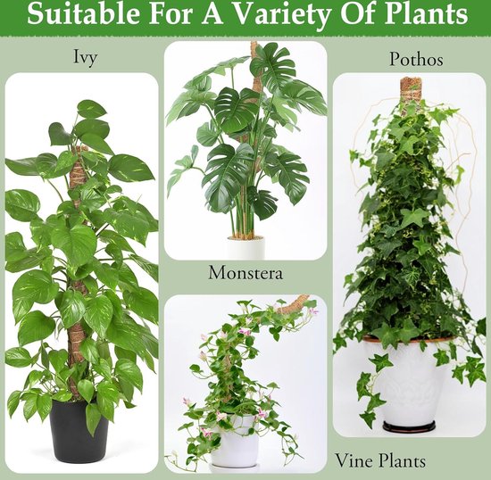 Nevolis Moss Pole 160 cm for Monstera Bendable Cheese Plant Support ...