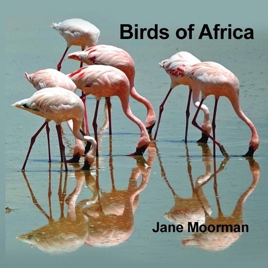 Birds of Africa, Jane Moorman | 9798330571352 | Boeken | bol