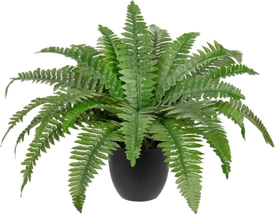 Kunstmatige Boston varen potplant - Nep varenstruiken in pot - Binnen ...