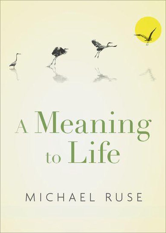 Philosophy in Action - A Meaning to Life (ebook), Michael Ruse ...