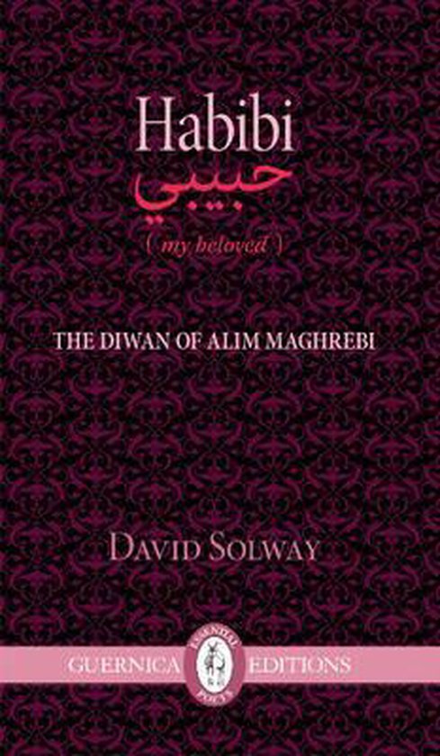 Habibi, David Solway | 9781550716153 | Boeken | bol.com