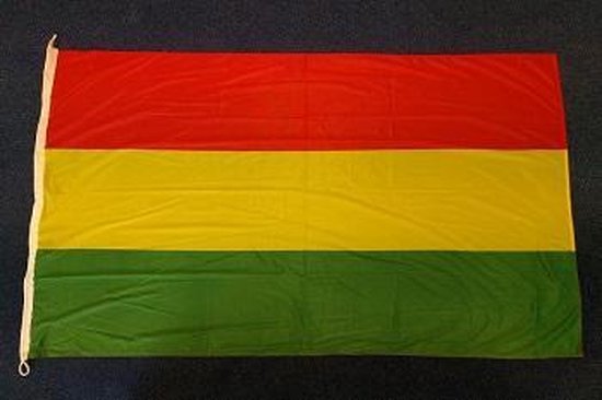 Carnavals vlag Carnaval 100 x 150cm | bol