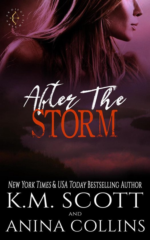 Project Artemis 2 - After The Storm (ebook), Anina Collins ...