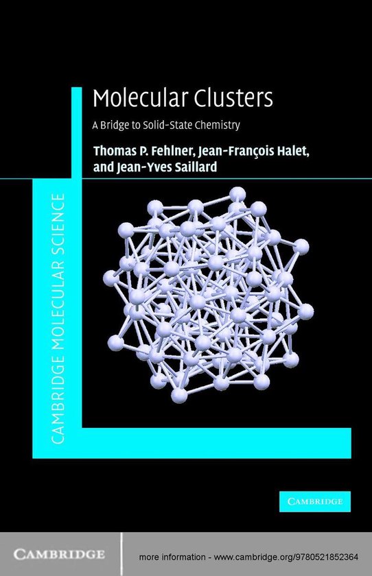 Cambridge Molecular Science - Molecular Clusters (ebook), Thomas ...