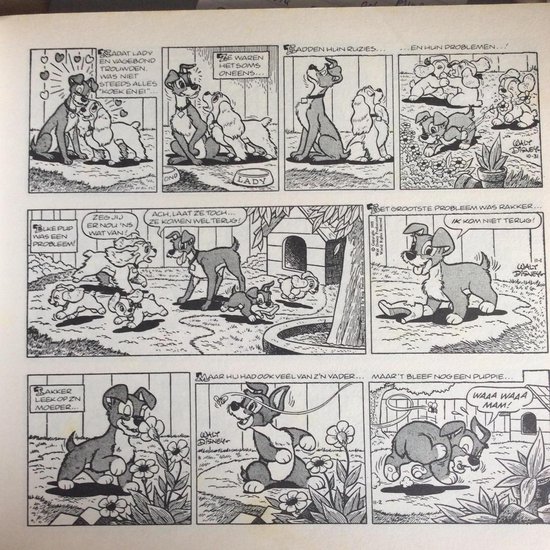 Rakker 1955-1956, Disney | 9789062137978 | Boeken | bol