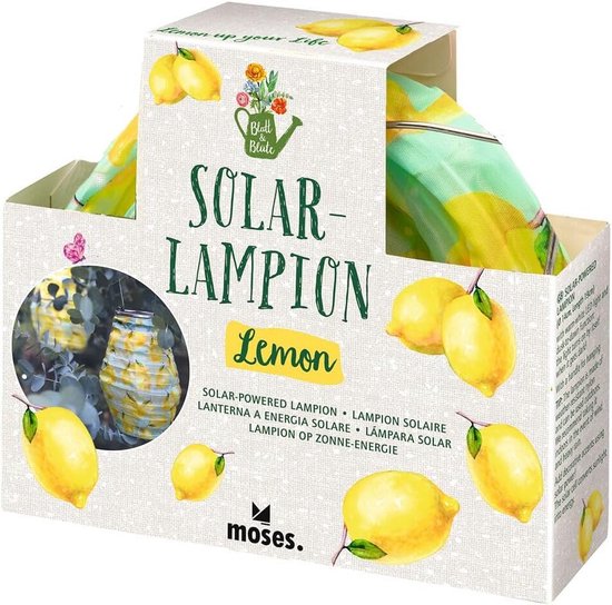 Sfeervolle Solar Lampion met Citroendesign - Warmwit LED Licht ...