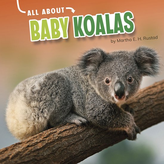 Oh Baby! - All About Baby Koalas (ebook), Martha E. H. Rustad ...