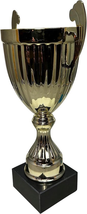 Grote Trofee Beker 25 cm Hoog voor Sportevenementen en Prijzen | bol